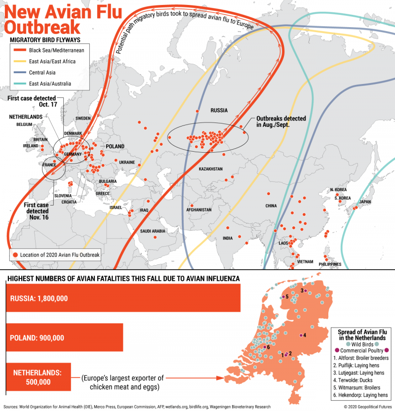 New Avian Flu Outbreak - Geopolitical Futures